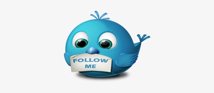 Twitter Follow Me Icon