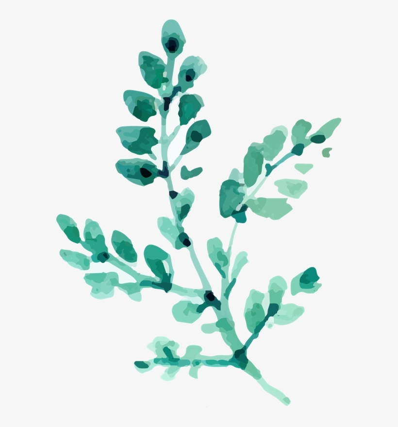 Leaf - Calligraphy And Hand Lettering Practice Sheet: Volume PNG Image ...