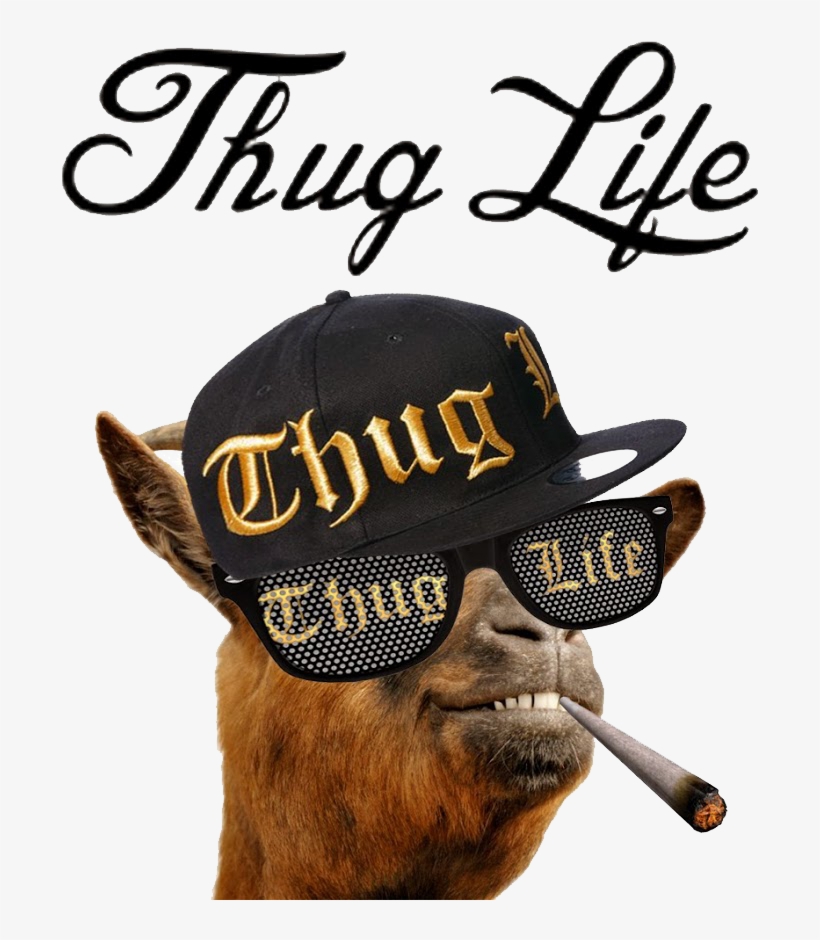 Thug Life PNG Image | Transparent PNG Free Download on SeekPNG