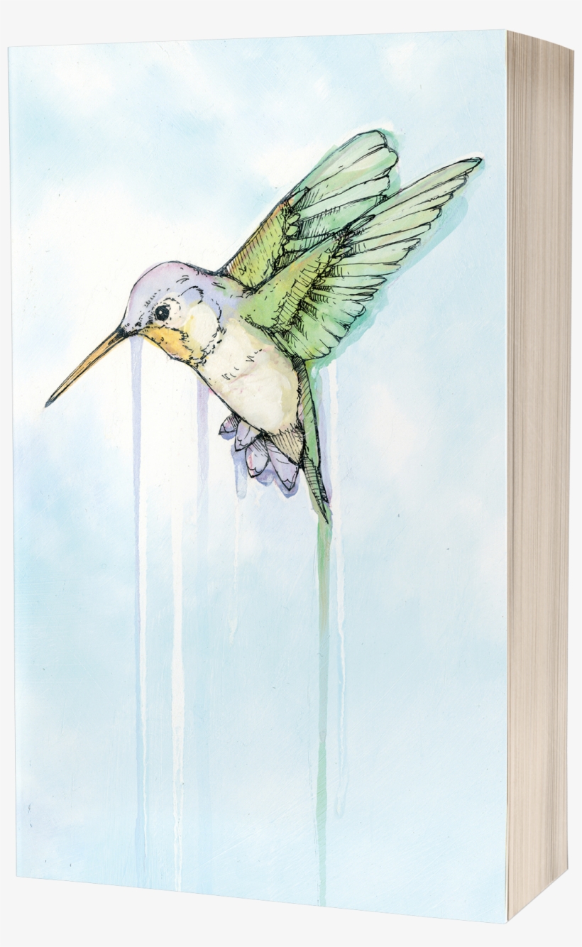 Hummingbird - Hummingbird Jude Angelini PNG Image | Transparent PNG ...