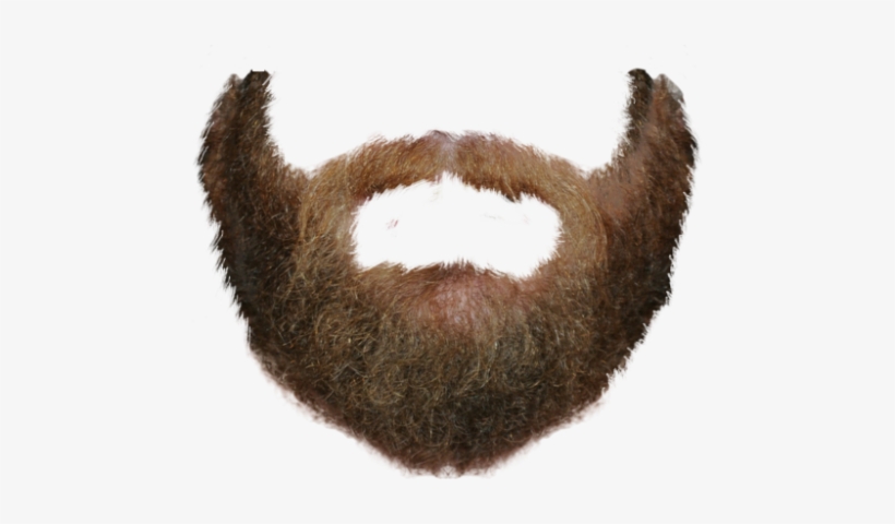 Download Transparent Beard Png - Transparent Background Beard Png ...