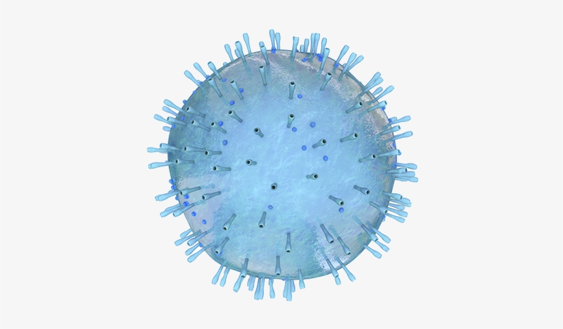 Diasorin Molecular Simplexa® Flu A/b & Rsv Direct Kit - Influenza PNG ...