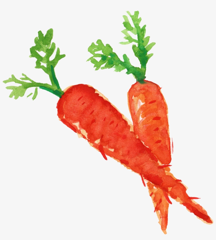 Download Transparent Watercolor Vegetable | Transparent PNG Download ...
