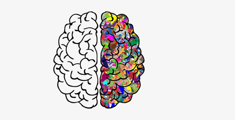 Download Brain, Mind, A, I, Ai, Anatomy - Left Vs Right Brain Png ...