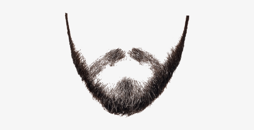 Beard Png PNG Image | Transparent PNG Free Download on SeekPNG