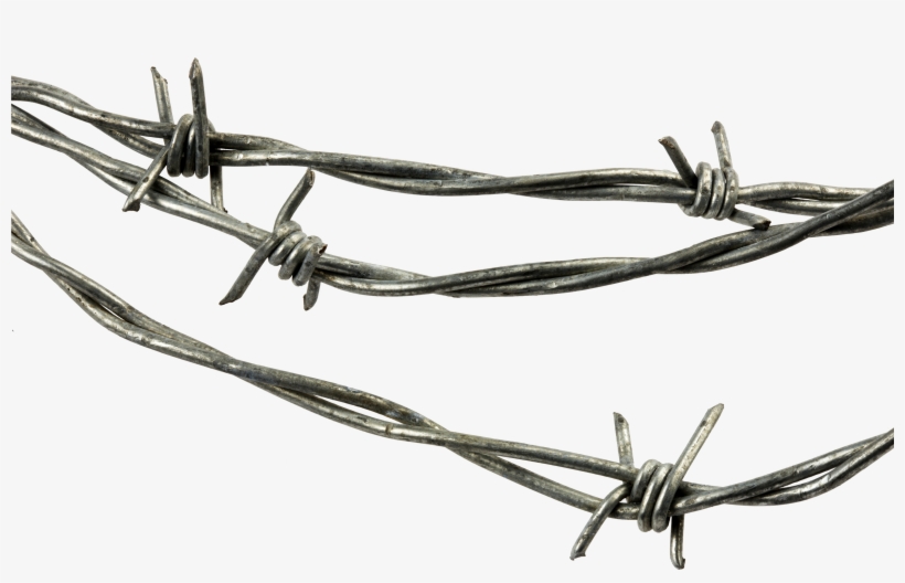 Barb Wire Png - Barbed Wire Png PNG Image | Transparent PNG Free ...