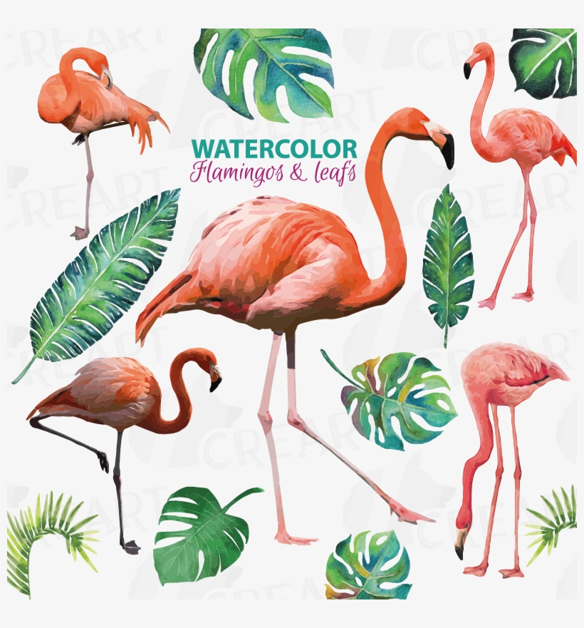 Watercolor Flamingos Clipart With Watercolor Leafs - Flamingo Portrait ...