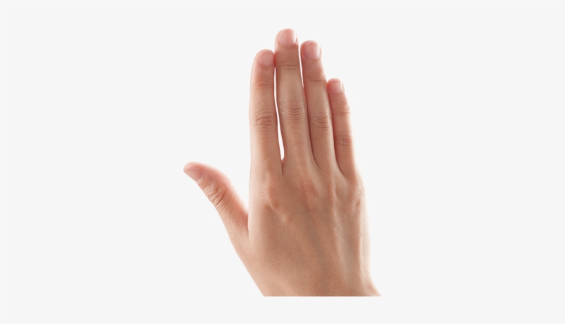 Y28 S4 Hand - Top Of Hand Png PNG Image | Transparent PNG Free Download ...