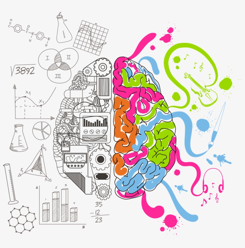 Brain Art Png PNG Image | Transparent PNG Free Download on SeekPNG