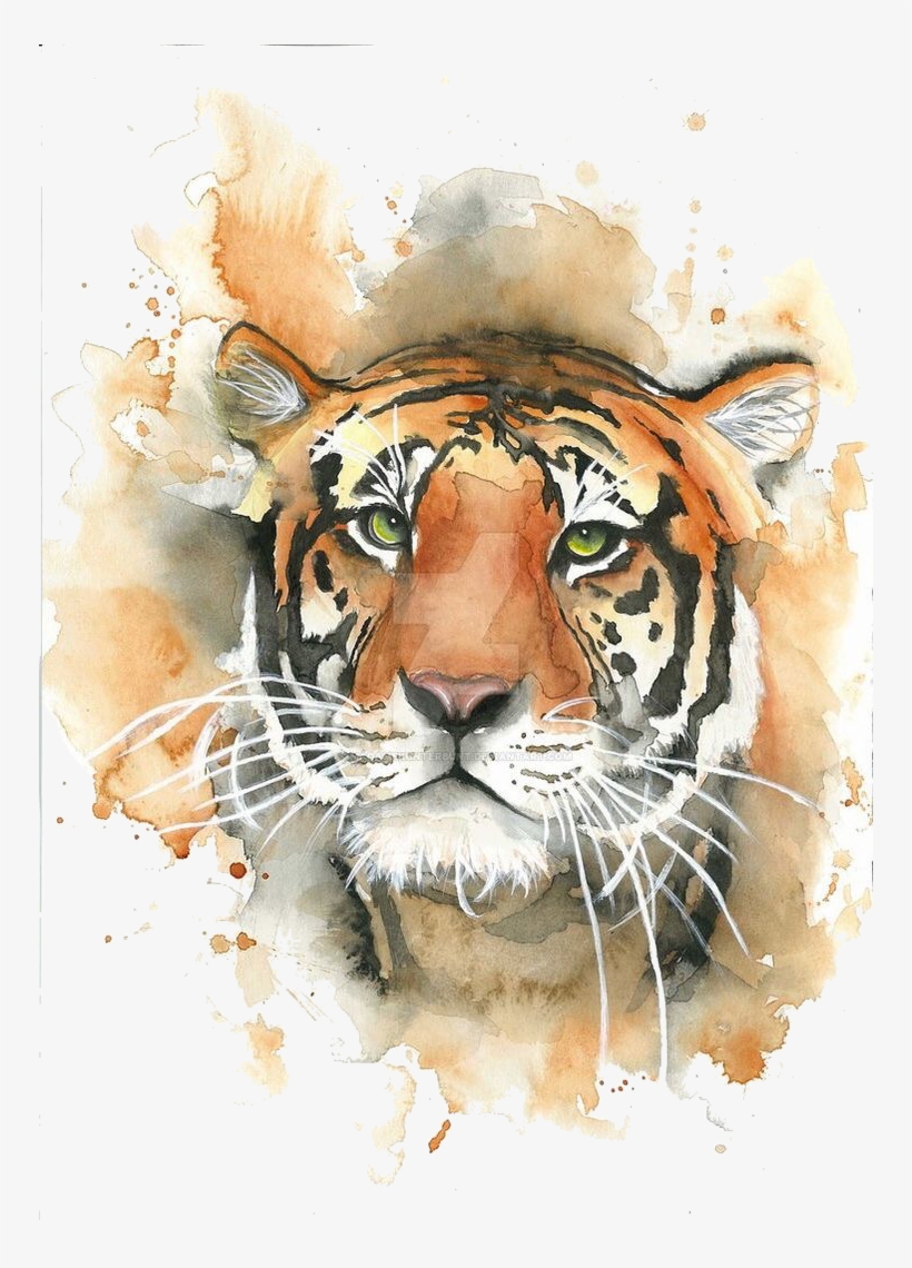 Report Abuse - Tiger Watercolour PNG Image | Transparent PNG Free ...