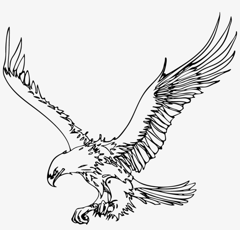 Just Eagles 05 4 99 Digital Outline - Outline Image Of Eagle PNG Image ...