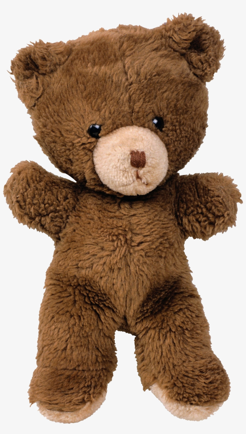 Teddy Bear Png PNG Image | Transparent PNG Free Download on SeekPNG