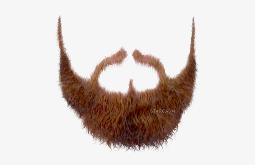 Download Beard Transparent Image - Beard PNG Image | Transparent PNG ...