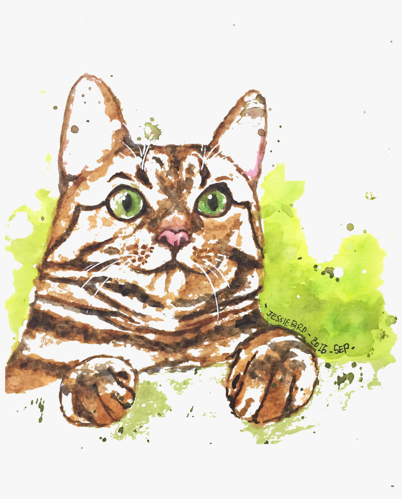 Download Kitten Clipart Watercolor - Cat | Transparent PNG Download ...
