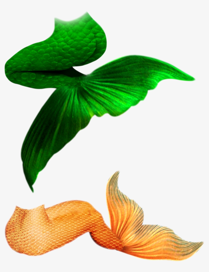 Mermaid Tails Ii By Jinxmim - Green Mermaid Tail Png PNG Image ...