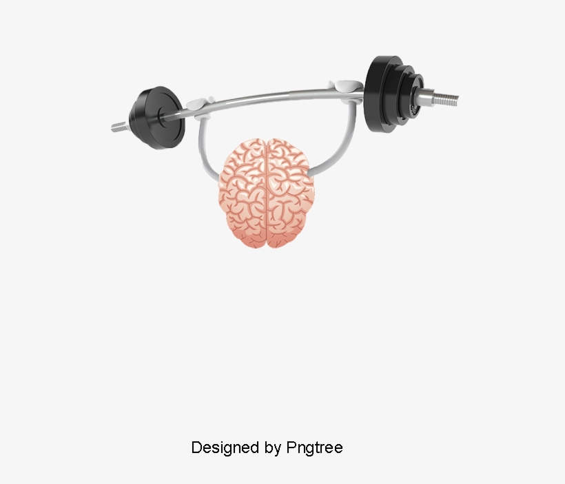 Download Dumbbell Exercise The Brain, Brain, Movement, Health - Body ...
