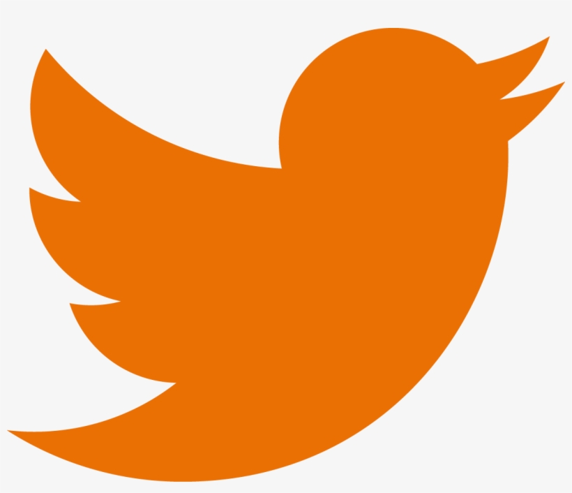 Download Twitter Logo Hd Transparent | Transparent PNG Download | SeekPNG