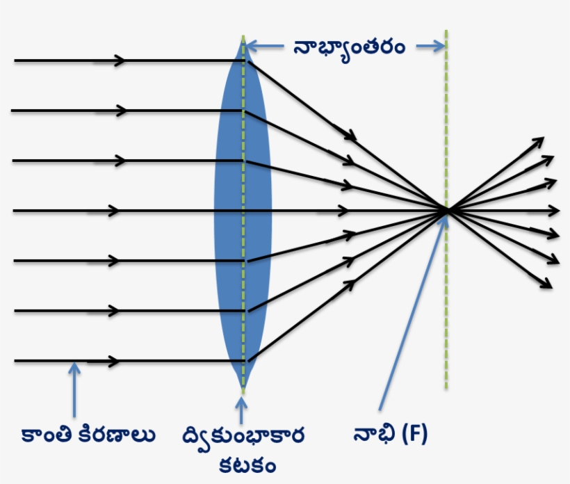 Converging Light Rays - Diagram PNG Image | Transparent PNG Free ...