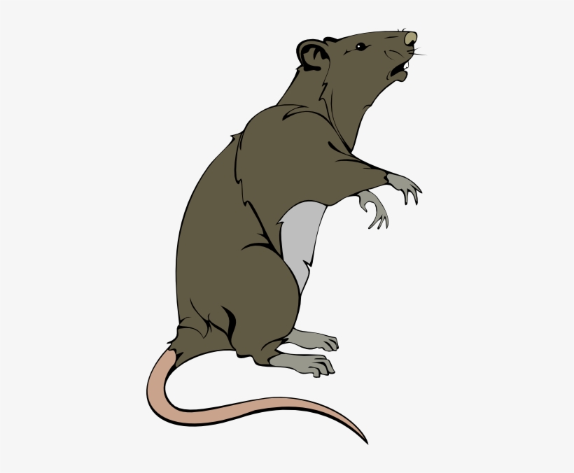 Rat Clipart Png Clip Freeuse - Rat Clipart Png PNG Image | Transparent ...