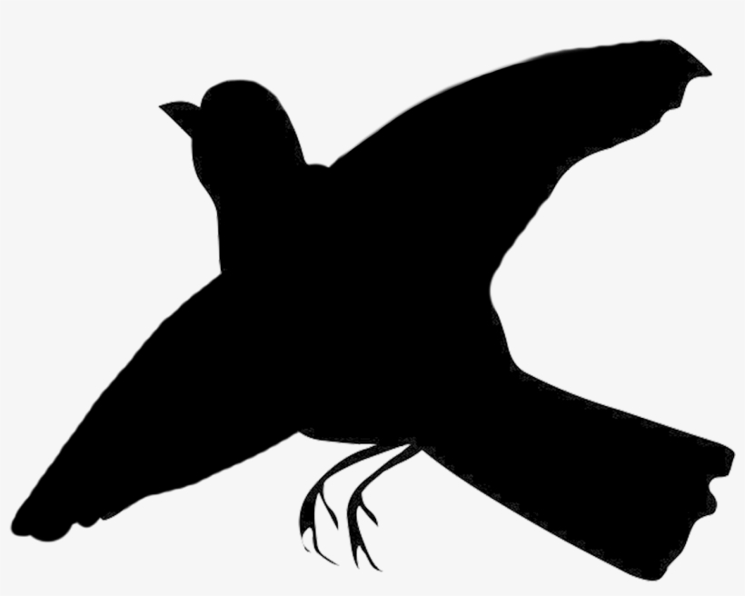 Brds Clipart Rook - Transparent Flying Black Bird PNG Image ...
