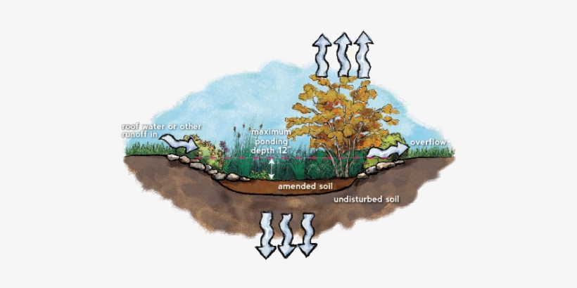 11 Jul 2017 - Rain Garden Soil Layers PNG Image | Transparent PNG Free ...