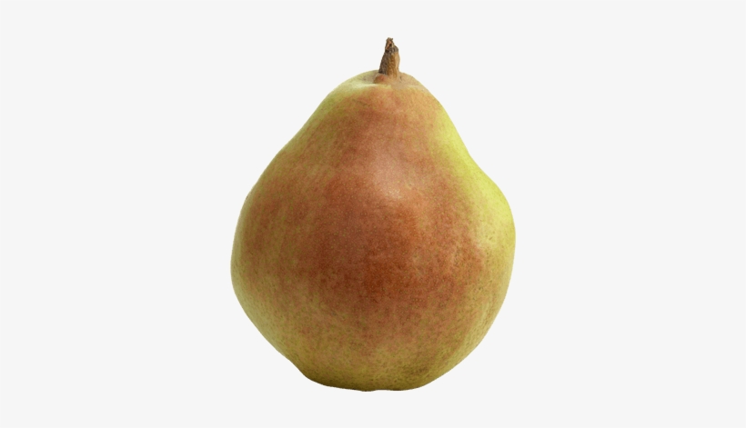 Download Pre-approved Copy Points From Usa Pears Focused - Comice Pear ...