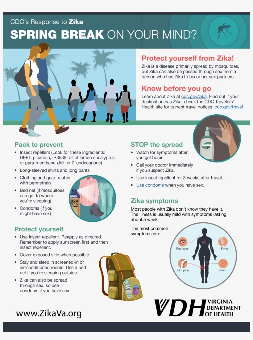 Traveling For Spring Break - Spring Break Safety Plan PNG Image ...