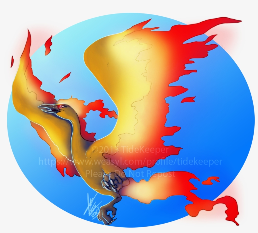Pokemon - Moltres - Illustration PNG Image | Transparent PNG Free ...