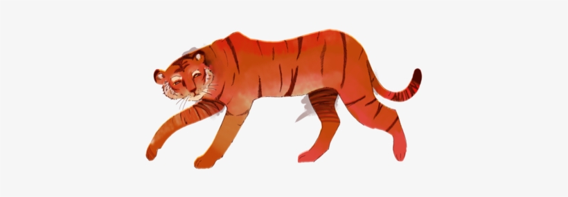 Tiger Tank Top - Drawing PNG Image | Transparent PNG Free Download on ...
