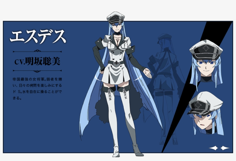 Esdeath Anime Concept 02 - Syndra Star Guardian Skin Fan Ar5 PNG Image ...