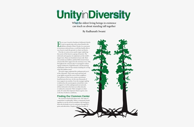 Linnaeus University PNG Image | Transparent PNG Free Download on SeekPNG