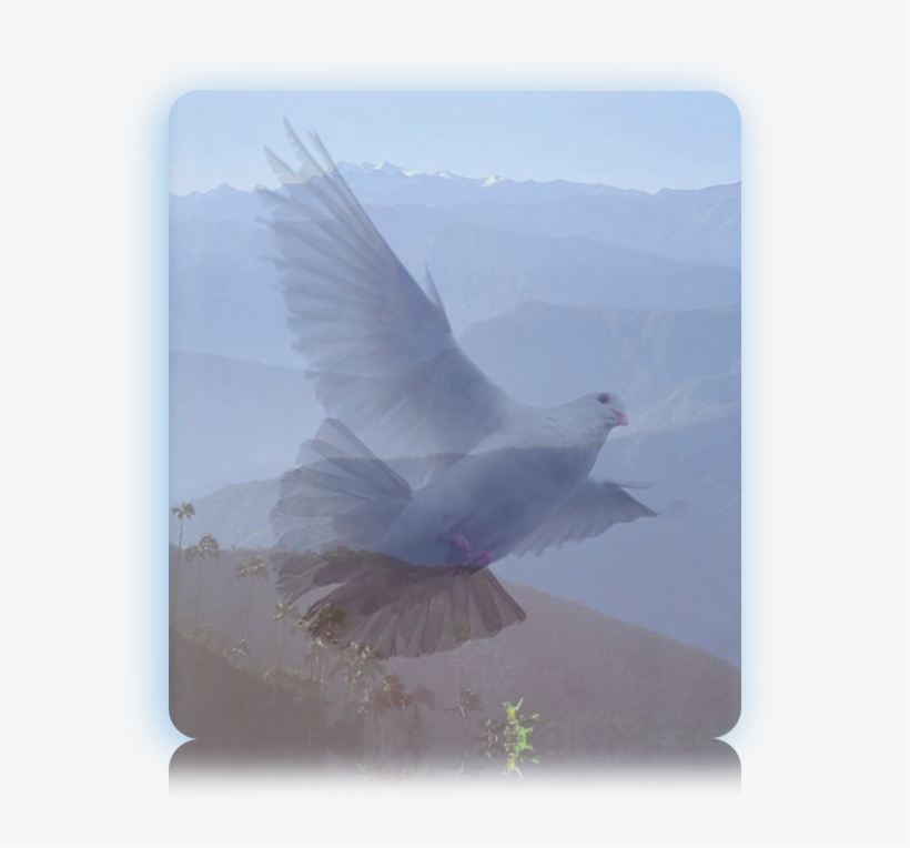 Holy Spirit PNG Image | Transparent PNG Free Download on SeekPNG