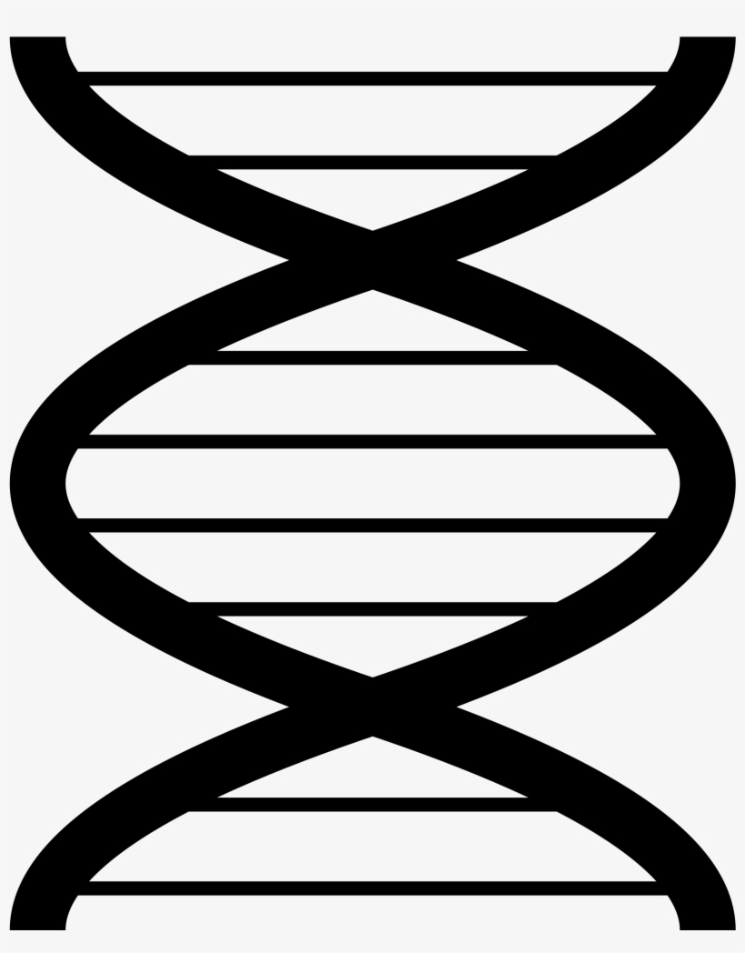 Open - Plain Dna PNG Image | Transparent PNG Free Download on SeekPNG
