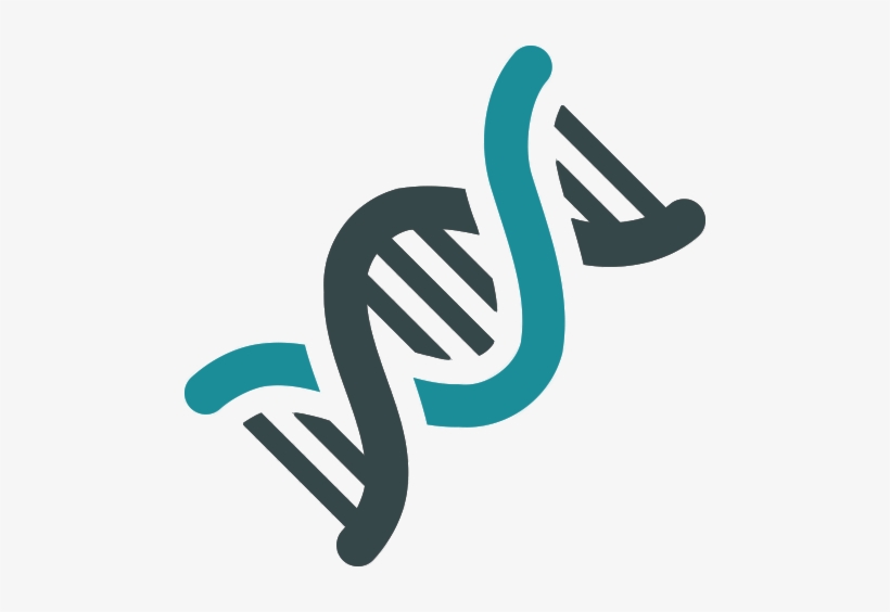 Download Dna Png - Dna Symbols | Transparent PNG Download | SeekPNG
