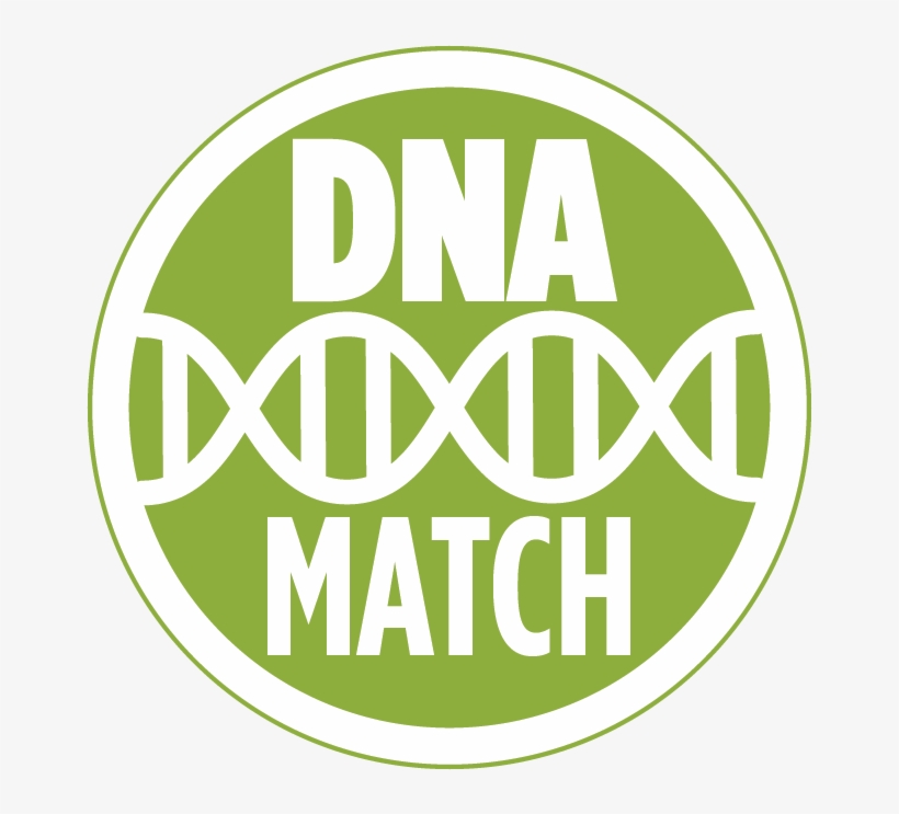 Dna Match Icon PNG Image | Transparent PNG Free Download on SeekPNG