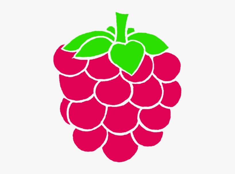 28 Collection Of Raspberry Drawing Png - Raspberry Drawing Png PNG ...