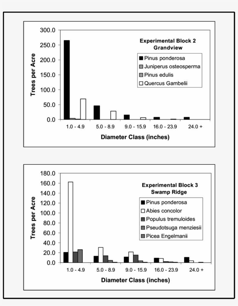 Current Diameter Distribution Of Live Trees Within - National Park PNG ...