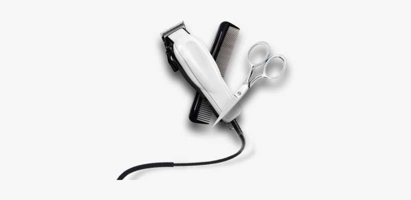 Barber Tools For Sale - Barber Shop Tools Png PNG Image | Transparent ...