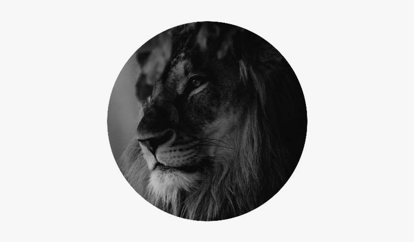 Part Ii The Alpha Gentleman - Man PNG Image | Transparent PNG Free ...