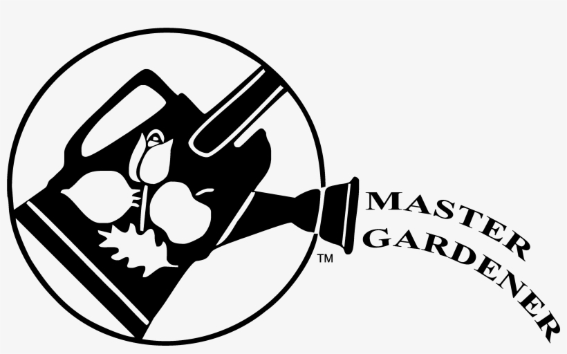 Master Gardener Logo Transparent - Cisco Catalyst 4500-x Switch - 16 ...