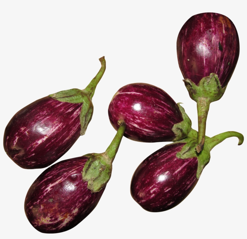 Fresh Brinjal Png Image - Brinjal Hd PNG Image | Transparent PNG Free ...