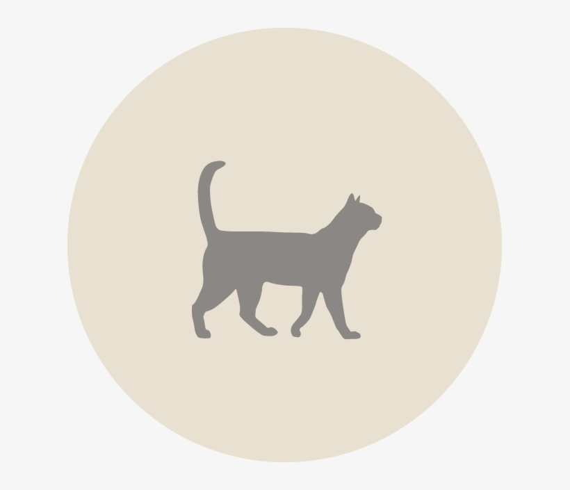 Knox Cat Icon - Ginger Cat Walking PNG Image | Transparent PNG Free ...