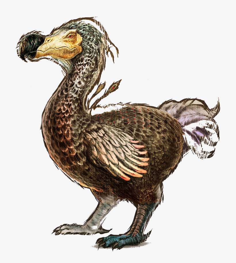 Dodo Ark PNG Image | Transparent PNG Free Download on SeekPNG