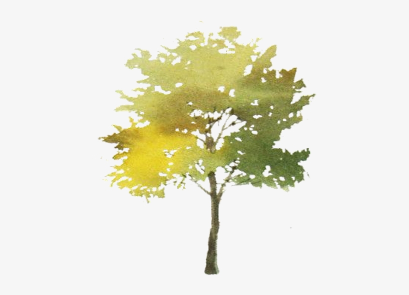 Download Tree Watercolor Png | Transparent PNG Download | SeekPNG