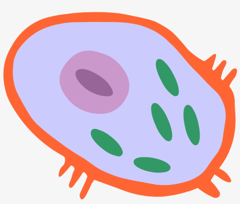 Download Human Cell Png Clip Art Transparent Stock - Human Cell Cell ...