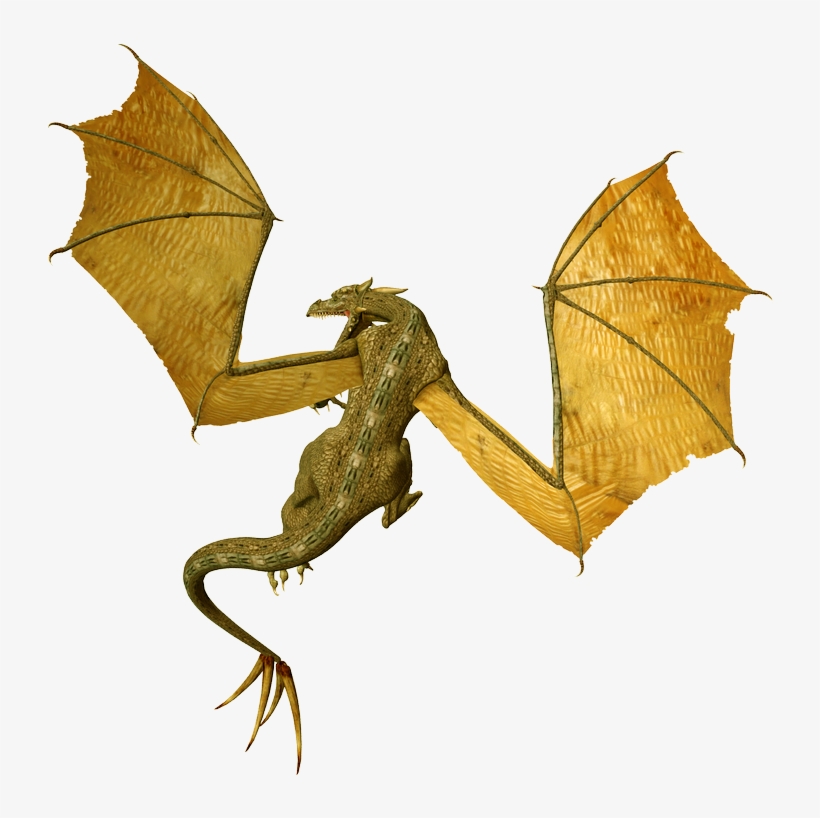 Dragon PNG Image | Transparent PNG Free Download on SeekPNG