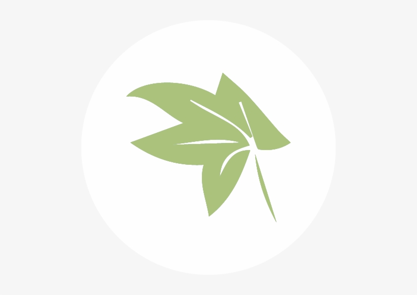 Leaf Icon - Portable Network Graphics PNG Image | Transparent PNG Free ...
