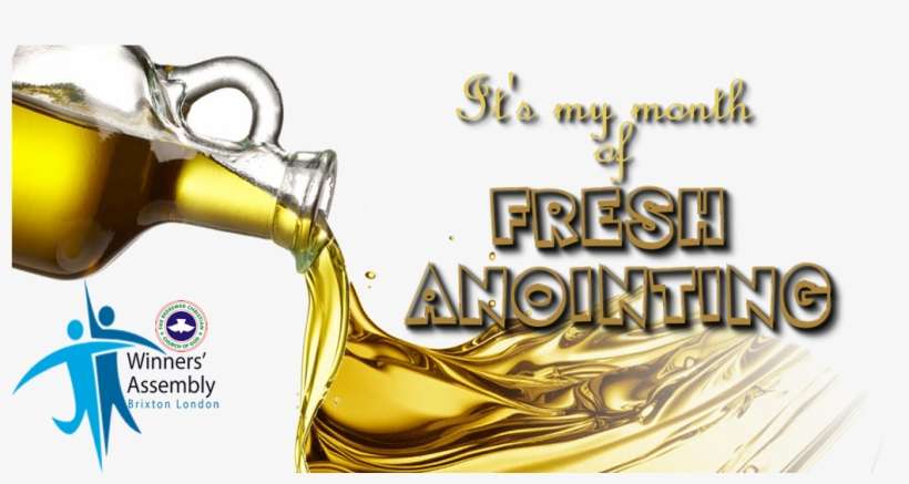 Up Coming Events - Sanity Behind Sanctification [book] PNG Image ...