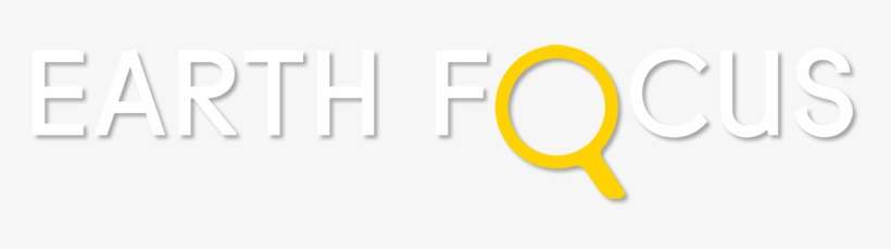Earth Focus Logo PNG Image | Transparent PNG Free Download on SeekPNG