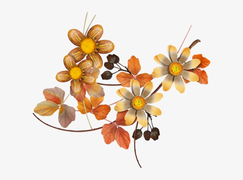 Fall Flower Png - Fall Flower Transparent Png PNG Image | Transparent ...